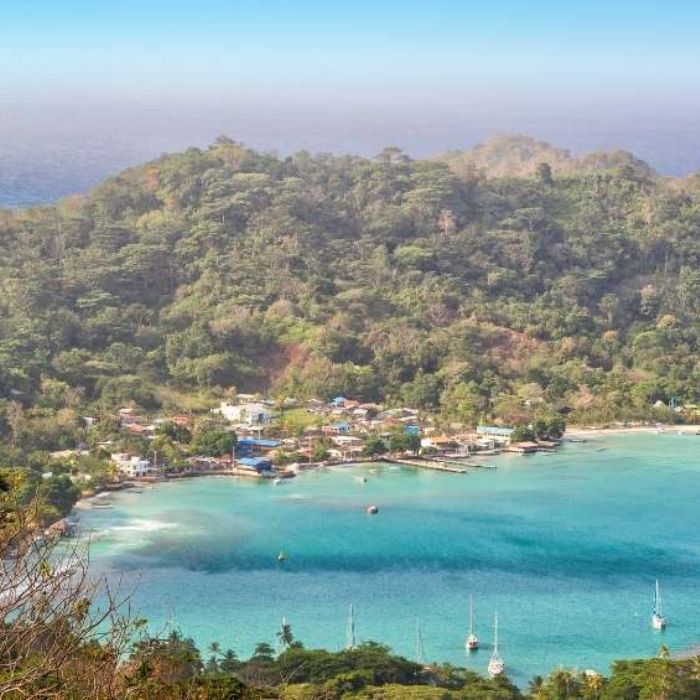 PLAN TERRESTRE SAPZURRO - Mercados en Línea